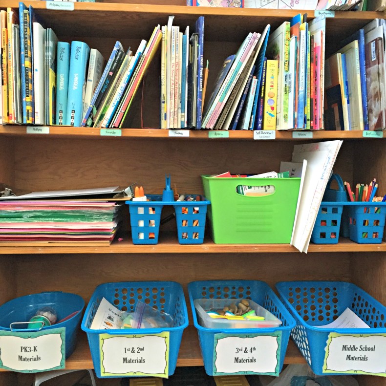 How I Organize My Bookshelves